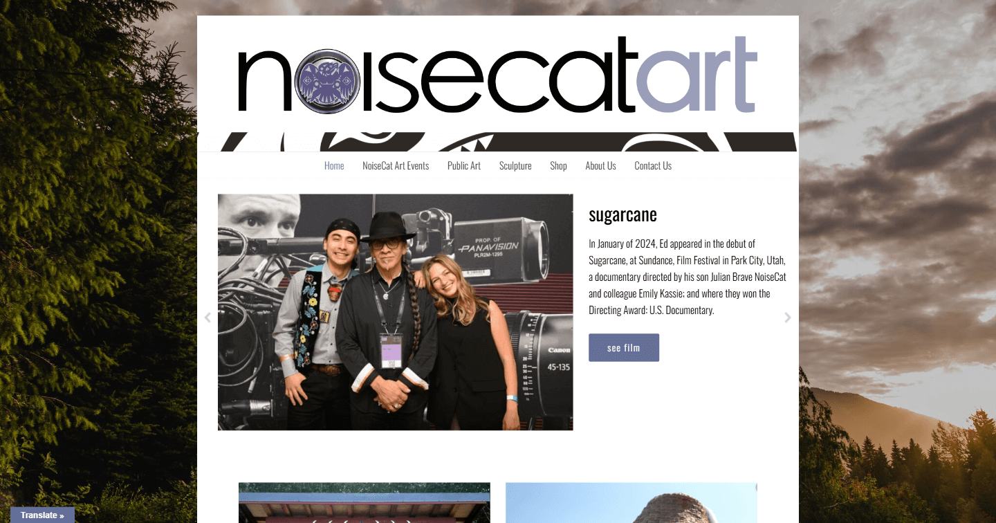 | NoiseCat Art